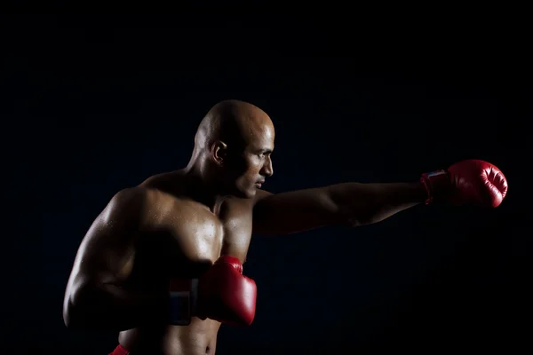 인 성 Stock Photos, Royalty Free 인 성 Images | Depositphotos