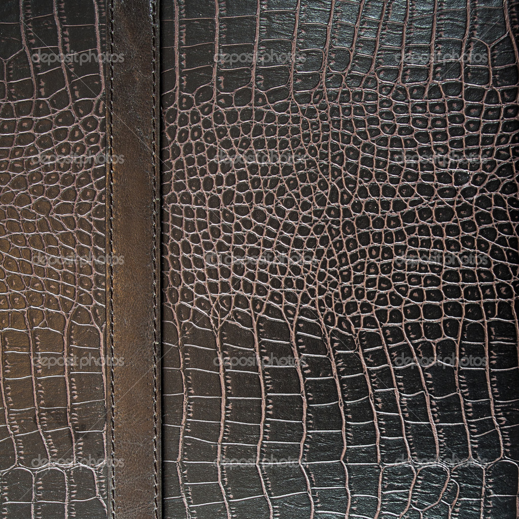 Crocodile leather texture background Stock Photo by ©2nix 30256137