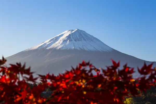Fuji in red Stock Photos, Royalty Free Fuji in red Images | Depositphotos