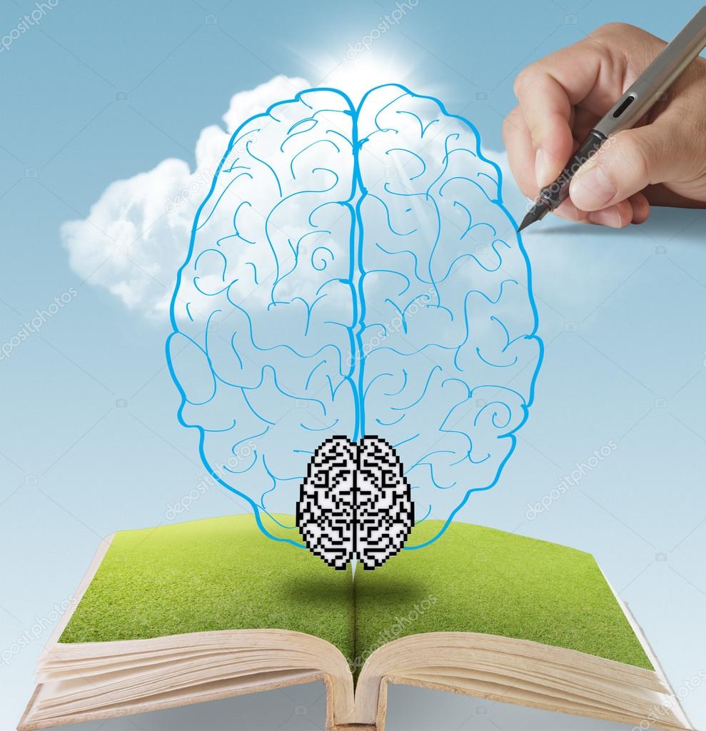 Hand drawing brain Stock Photo by ©buchachon_photo 12964163
