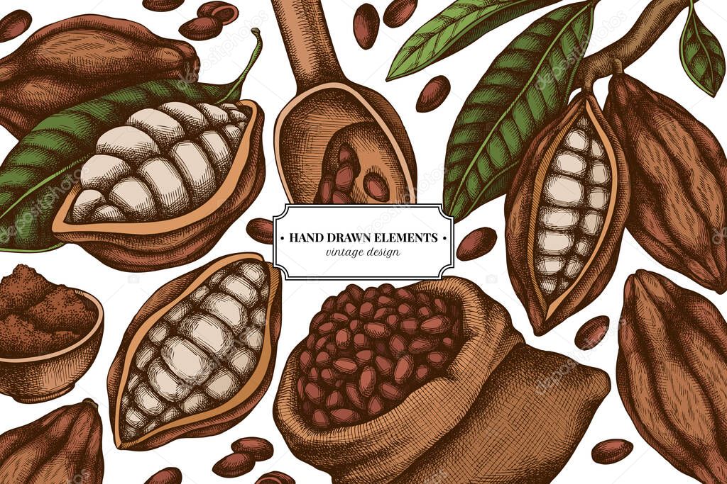 Elementos de color diseño con granos de cacao, cacao 2023