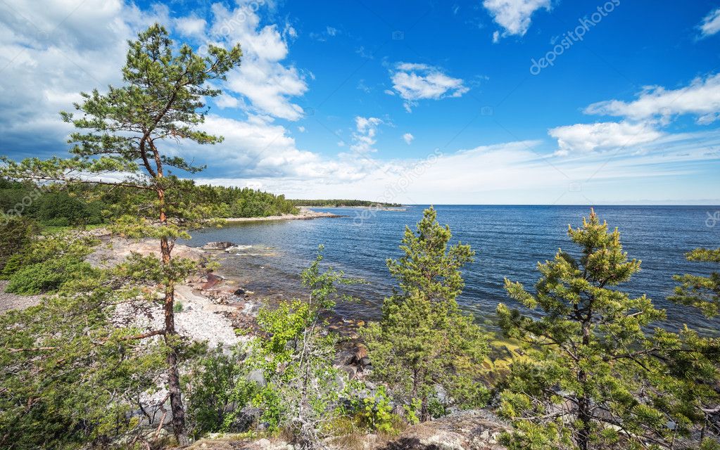 Coastline in Scandinavia trough some pine trees — Stock Photo © steho ...
