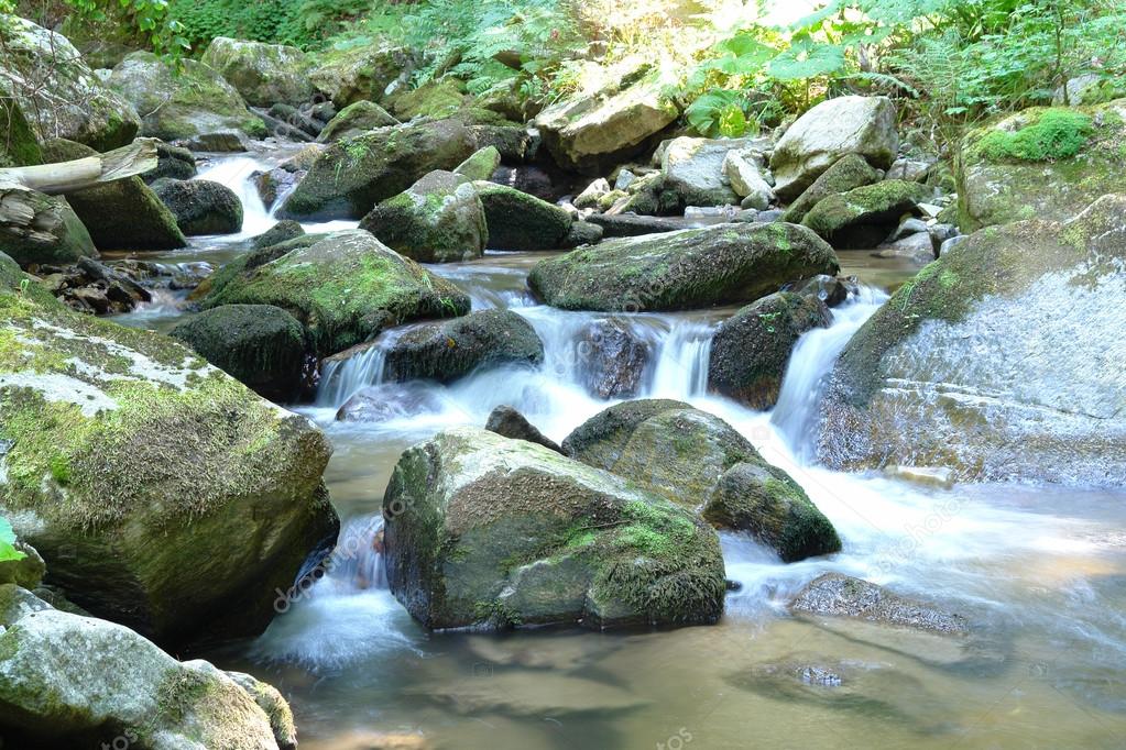 Rock into stream — Stock Photo © zefart #13323026