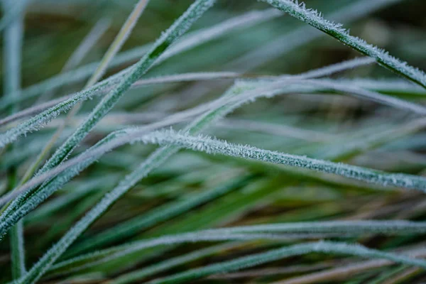Frost border Stock Photos, Royalty Free Frost border Images | Depositphotos