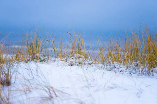 Snow on beach Stock Photos, Royalty Free Snow on beach Images ...