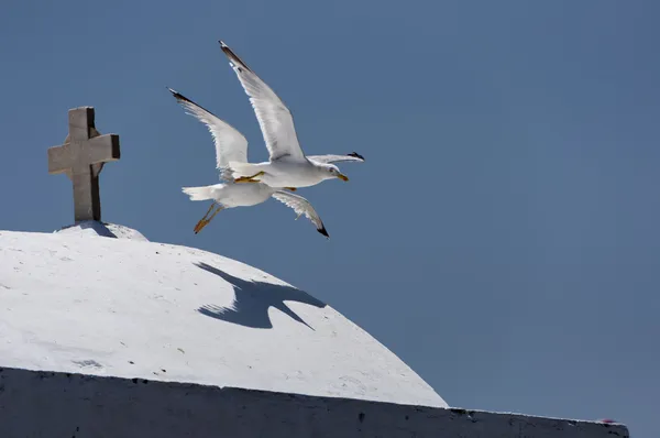 Synchrony Stock Photos, Royalty Free Synchrony Images | Depositphotos®