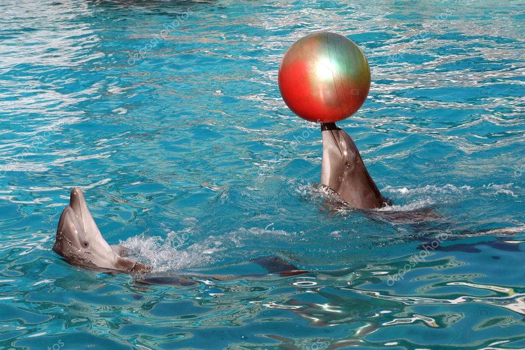 Czy uda Ci się w tym quizie sięgnąć po złoto? Quiz Online | QuizMe