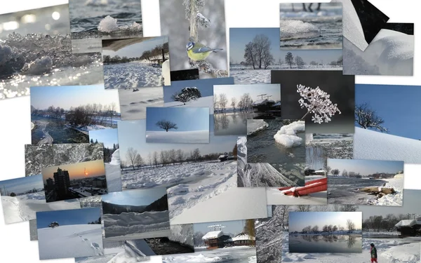 Decoration — Stock Photo © fotocodp #51451795