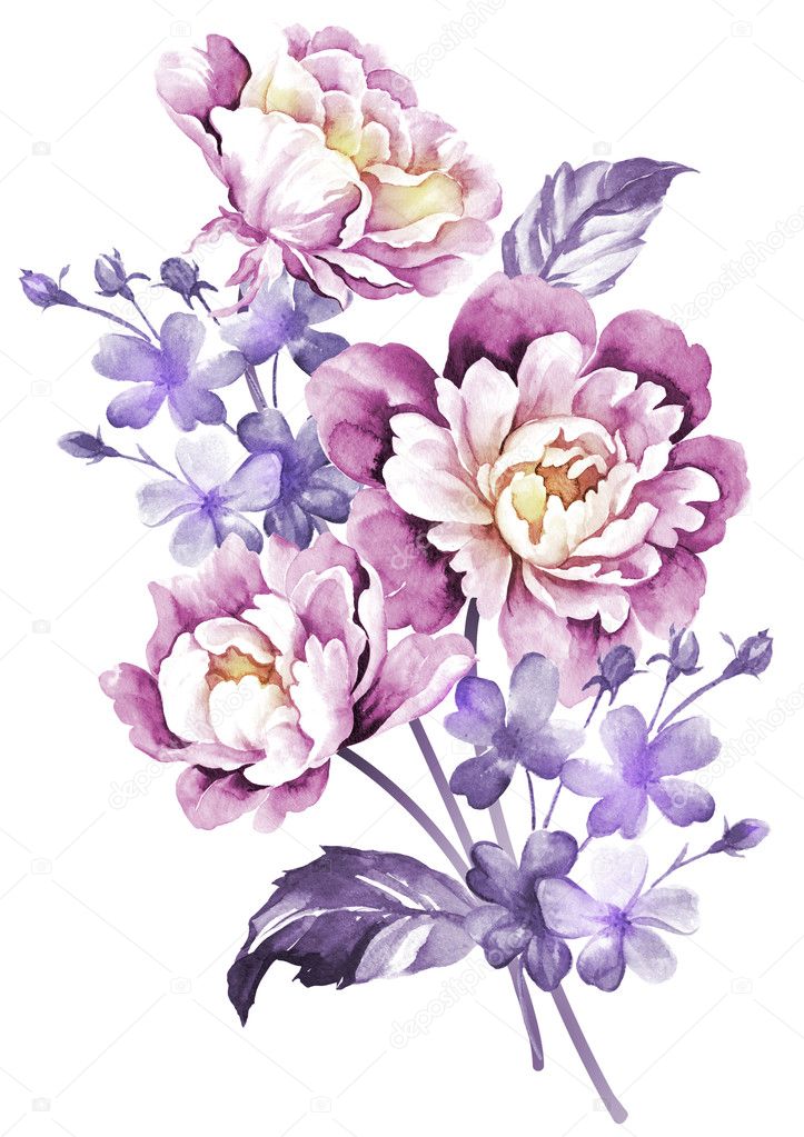 Watercolor illustration flowers Stock Photo by ©shu999 47143513
