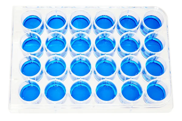 Multi well plate dish Stock Photo by ©whatafoto 15391833