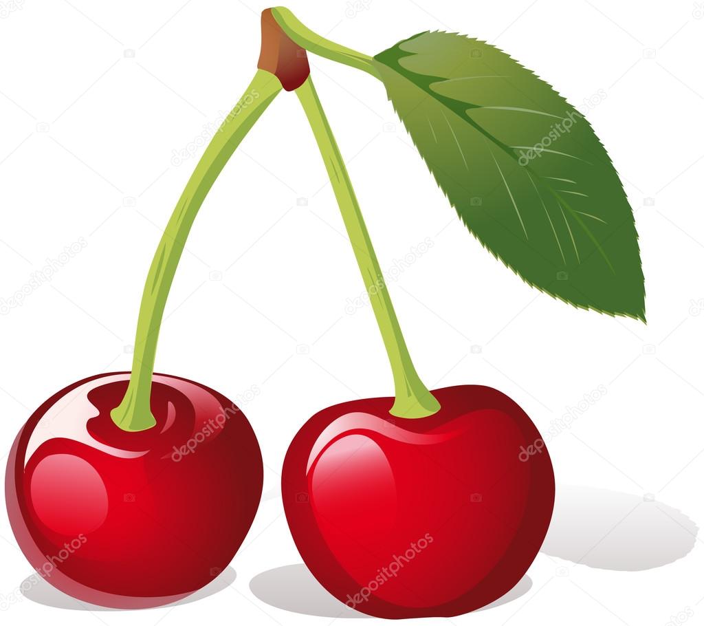 Cherry vector Stock Vector Image by ©hanaschwarz #17430415