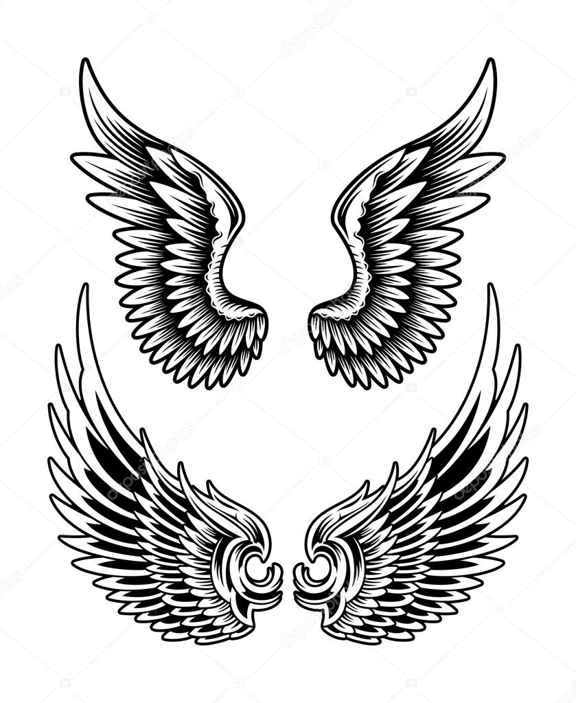 Conjunto de ala vectorial Vector de stock por ©vectorfreak 19484585