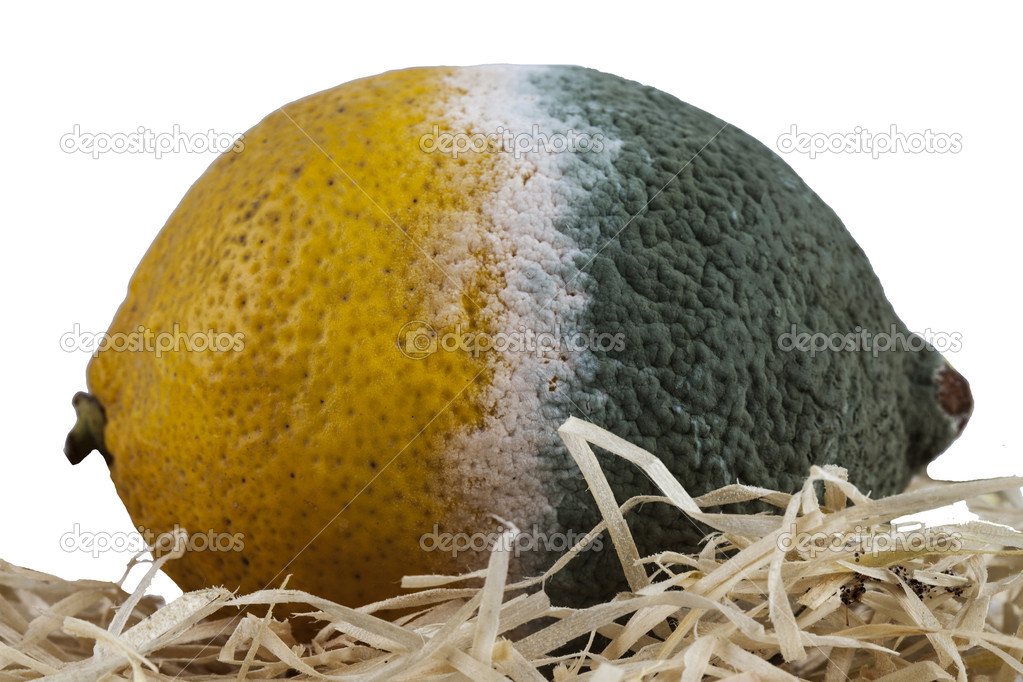 Rotten lemon Stock Photo by ©OlesyaKuzina 45821359