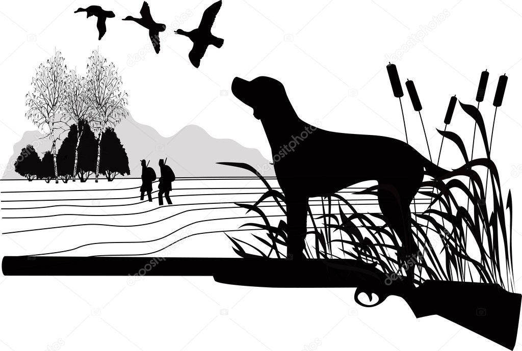 Hunting dog Stock Vector by ©weter777 13953760