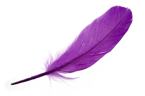 Violet feather background Stock Photos, Royalty Free Violet feather ...