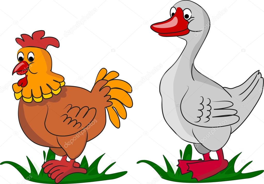 Chicken and Duck, living on a farm — Stock Vector © virinaflora #36347559