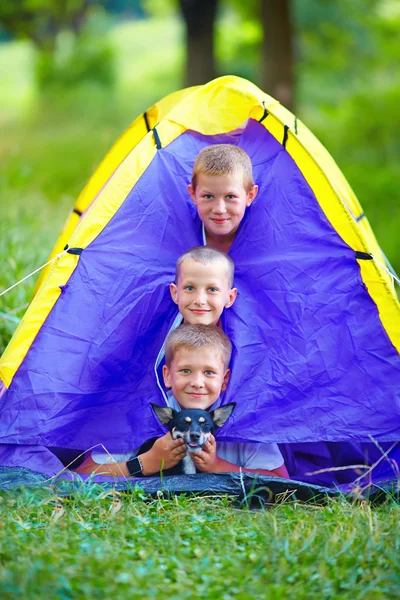 Booth camp Stock Photos, Royalty Free Booth camp Images | Depositphotos