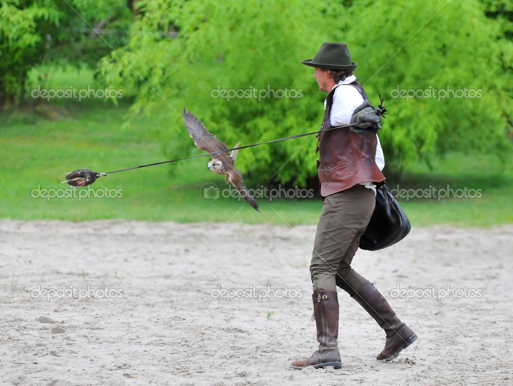 Falconry – Stock Editorial Photo © mountainpix #13761436