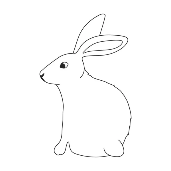 16,512,806 Rabbit outline Vector Images | Depositphotos