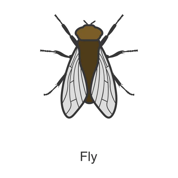 Fly Clipart Black And White