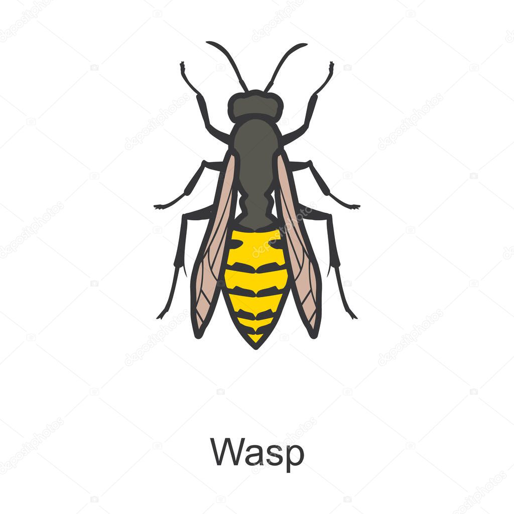 Insecto avispa vector icon.Color logotipo del vector aislado en el ...
