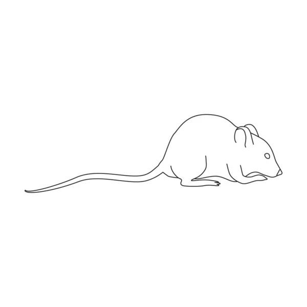Muis tekening vectorafbeeldingen, illustraties en clipart | Depositphotos
