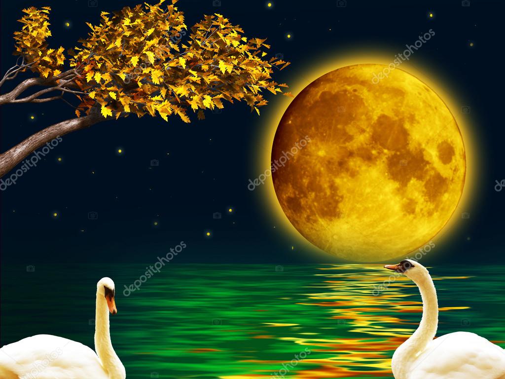 Two swans in the full moon night — Stock Photo © artecke #42703737