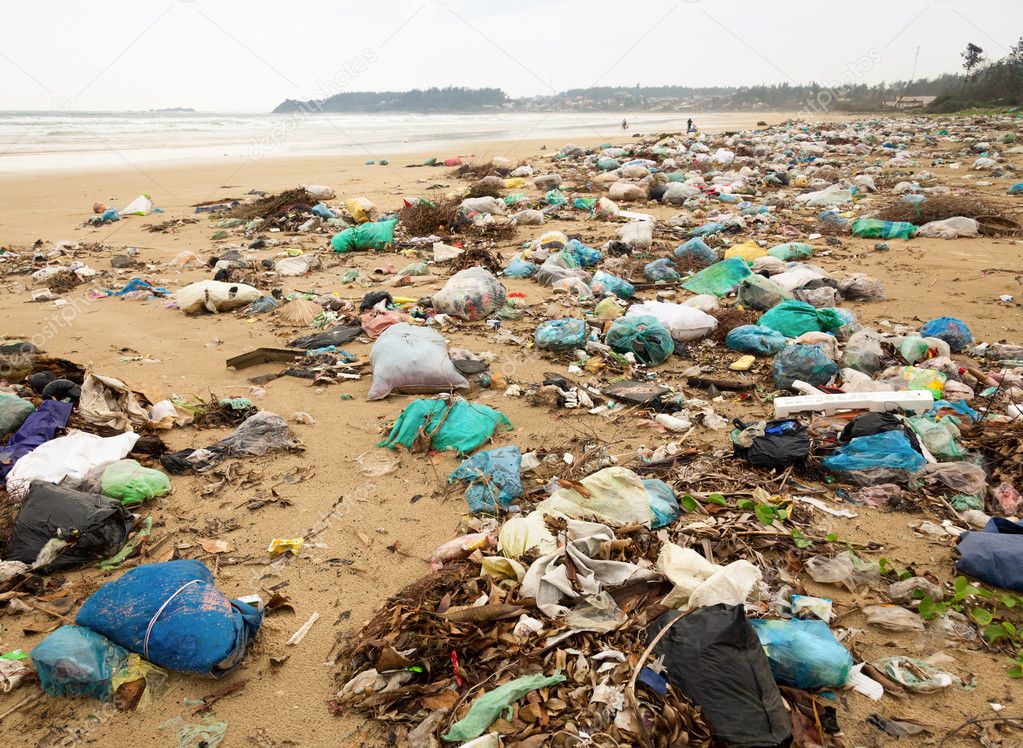 Basura en una playa 2023