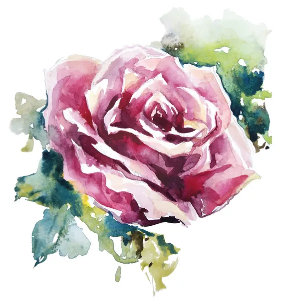 Watercolor rose Vector Art Stock Images | Depositphotos