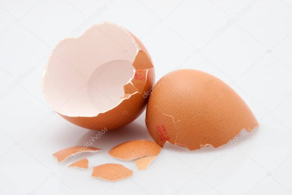 Open empty shell of an egg isolated on white background Stock Photo by ...