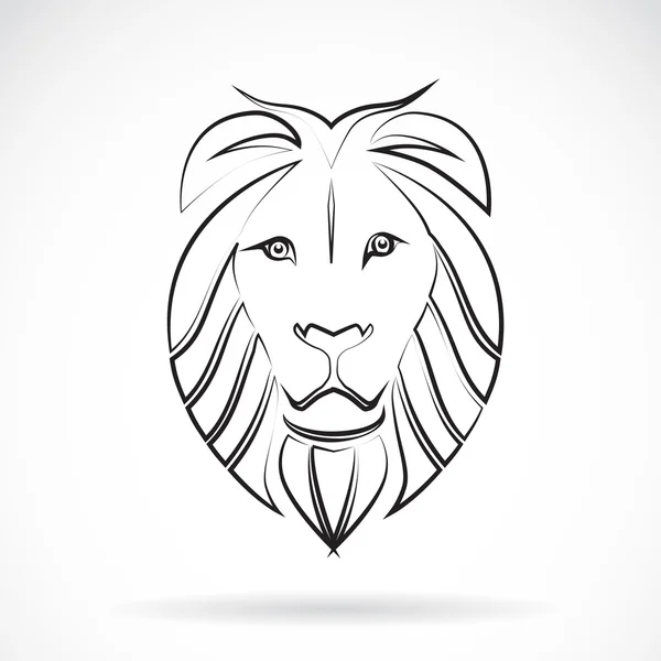 Vector image of a lion Stock Vector Image by ©yod67 #43652617