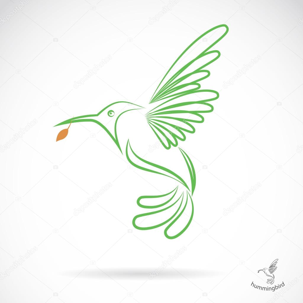 Imagen vectorial de un colibrí Vector de stock #30177369 de ©yod67