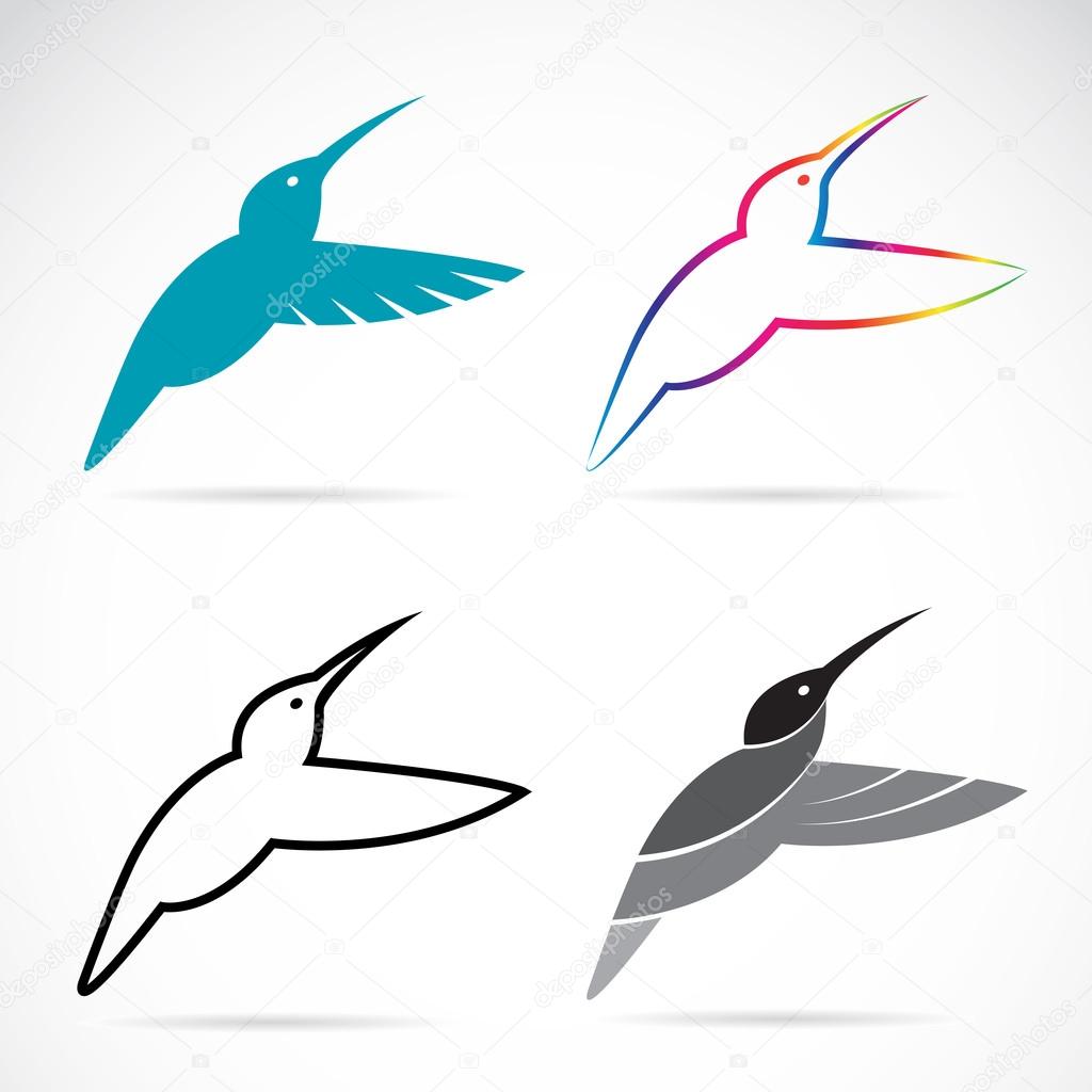 Vector image of an hummingbird Stock Vector Image by ©yod67 #30280197