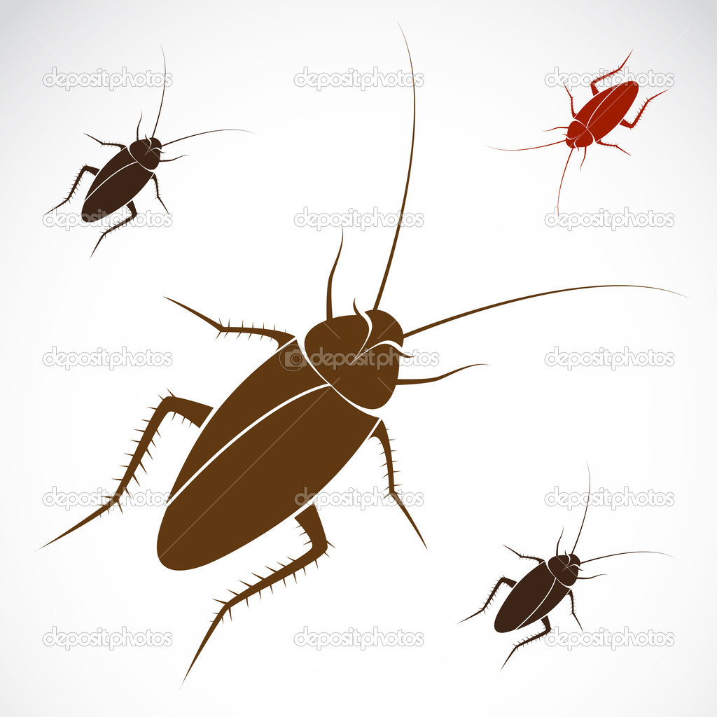 Imagen vectorial de una cucaracha Vector de stock por ©yod67 30430863