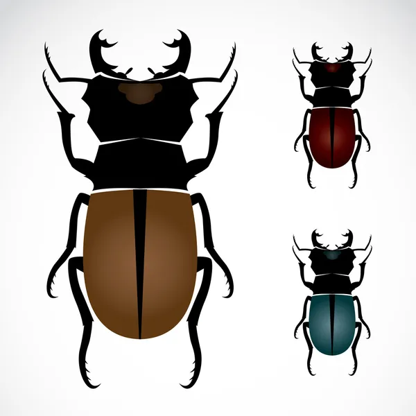 ᐈ A stag beetle stock pictures, Royalty Free stag beetle pics ...