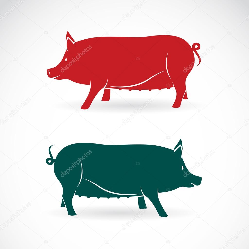 Imagen vectorial de un cerdo 2022