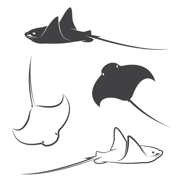 53,159,037 Stingrays Vector Images | Depositphotos