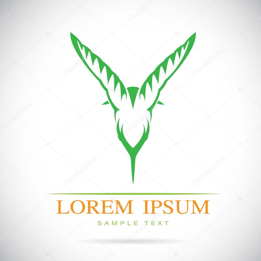 Vector image of an hummingbird design Stock Vector Image by ©yod67 ...