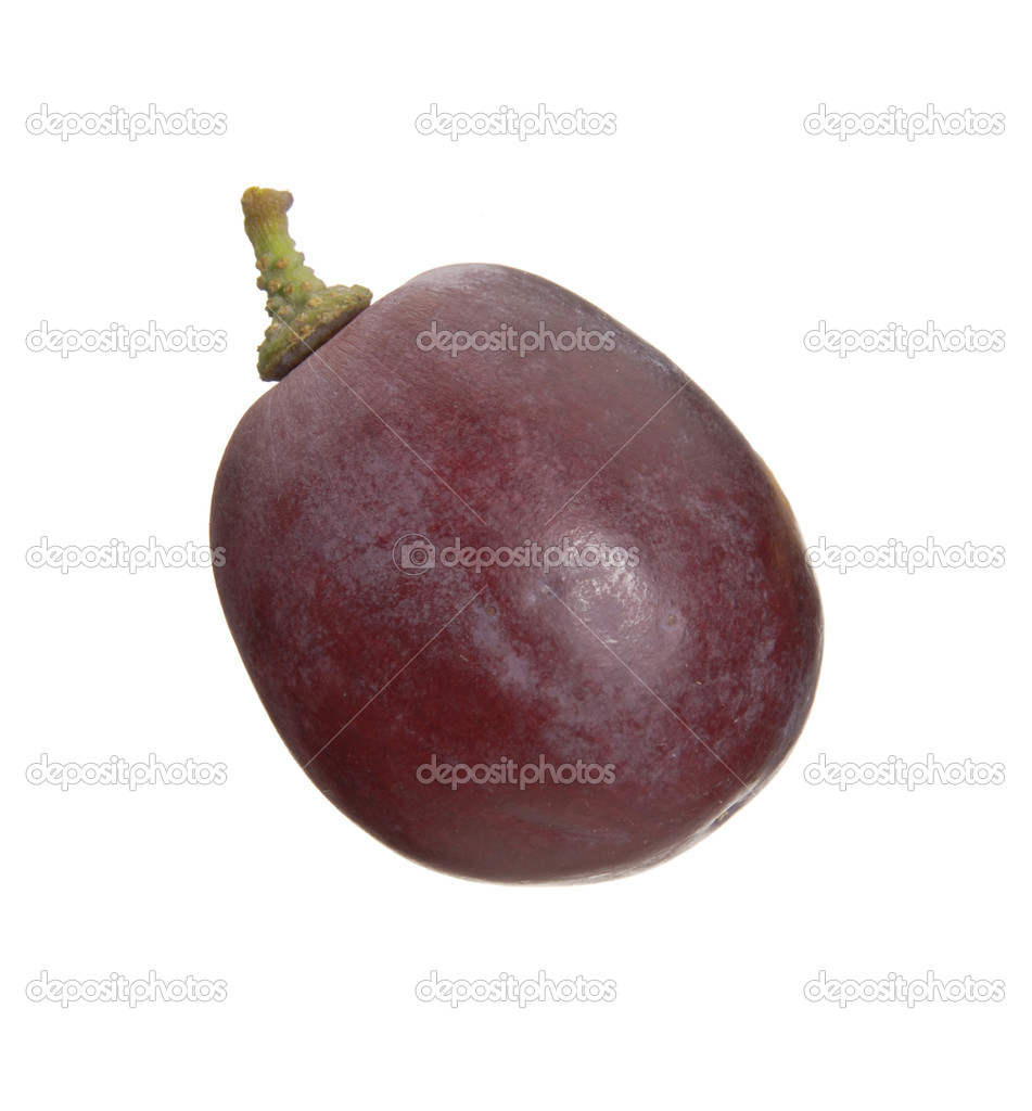 Un Raisin vs. Le Raisin vs. Les Raisins vs. Du Raisin vs Des Raisins ...