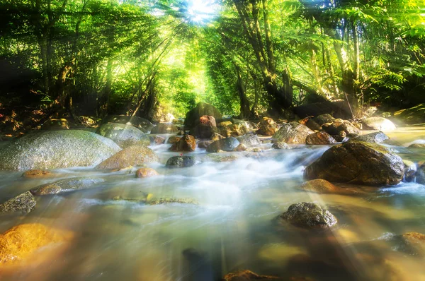 Nature water background Stock Photos, Royalty Free Nature water ...