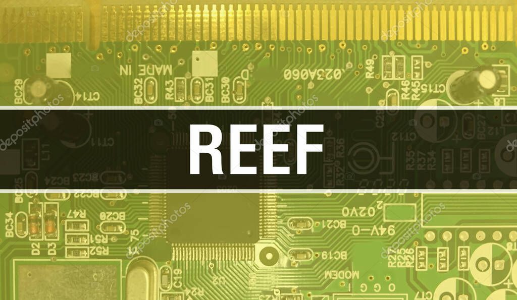 Concepto REEF con placa base de ordenador. Texto de REEF escrito en ...