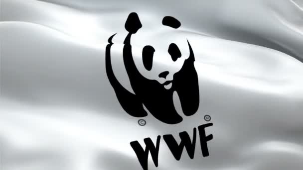 Wwf Logo Wallpaper