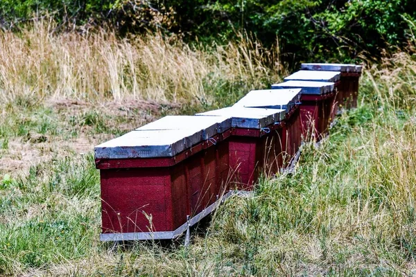 Anciennes ruches images libres de droit, photos de Anciennes ruches ...