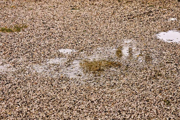 Wet floor puddle Stock Photos, Royalty Free Wet floor puddle Images ...