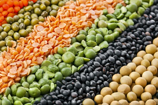 Colorful striped rows of dry lentils, soya beans, groats,peas, grain ...