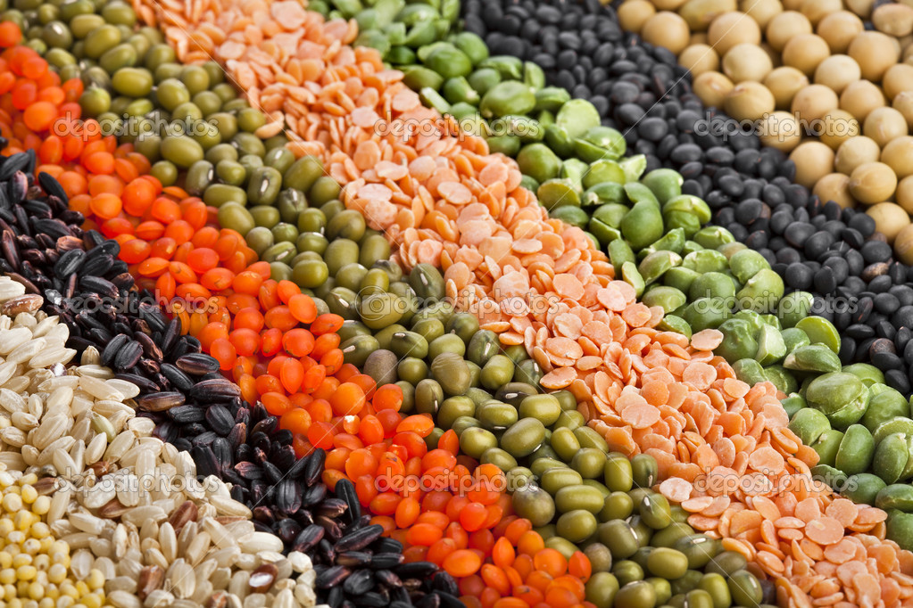 Colorful striped rows of dry lentils, soya beans, groats,peas, grain ...