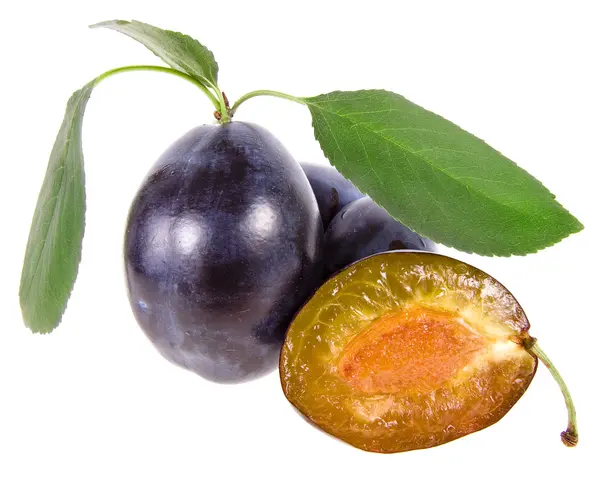 Plums on a white background — Stock Photo © Valentyn_Volkov #4297678