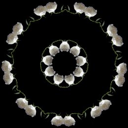 228 Mourning frame Vector Images | Depositphotos