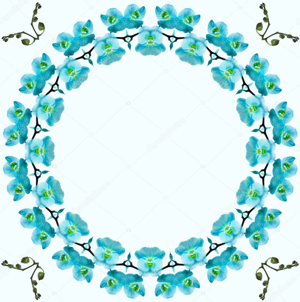 Border Frame Pattern of Bright Orchid plant ⬇ Stock Photo, Image by ...