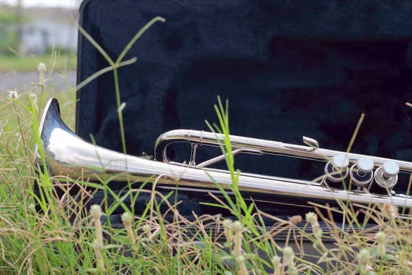 Several Ancient Musical Wind Instruments Lie Green Grass Park Cornet ...